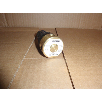 RB3-01-F0GB Wilkerson Pneumatisch Neu Druckregler 1/8 Npt RB