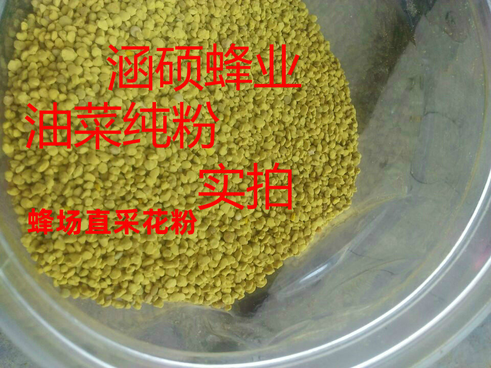 2025年新鲜油菜花粉天然 油菜纯花粉油菜纯粉食用蜂花粉花粉