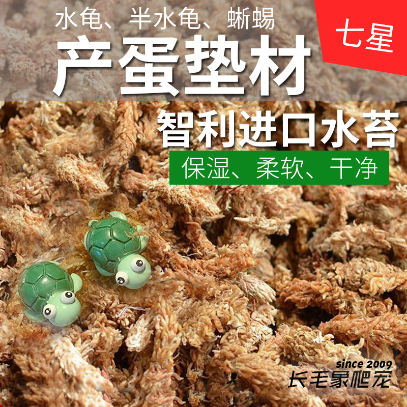智利水苔乌龟水龟半水龟爬虫产蛋垫材产房垫料保湿柔软干净