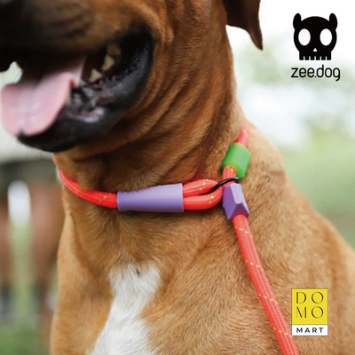 ZeeDog狗狗滑动牵引绳柯基法牛金毛贵宾滑动训练宠物用品P链绳