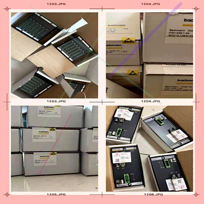 询价!巴赫曼控制器MP213/E,全新带包装
