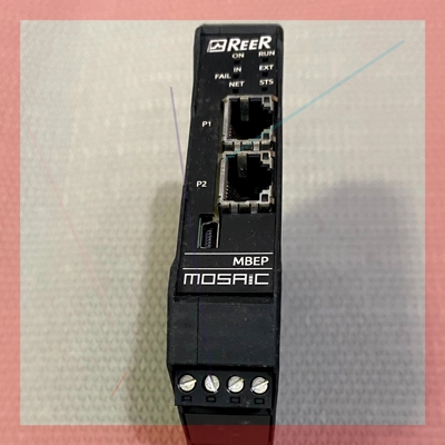 询价!询价利瑞奥REER控制器MOSAIC MBEP PROFIN