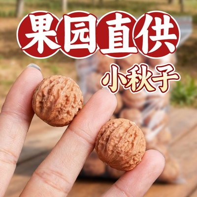 野生小秋子手串男士野生小核桃文玩手持手工DIY散装佛珠配珠盘玩