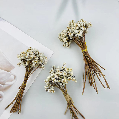 小白果乌桕果干花装饰北欧风花束圣诞干花DIY香薰蜡烛干花配材