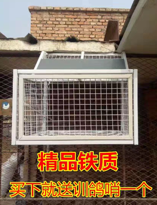 鸽子跳笼门 用品用具鸽棚舍进出口信鸽笼赛鸽放飞笼电子踏板包邮