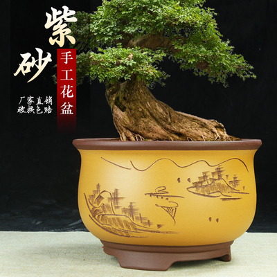 宜兴紫砂兰花盆特价清仓多肉陶瓷盆大口径圆口绿萝老桩绿植盆景盆