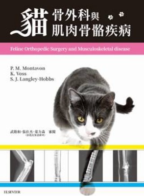 猫骨外科与肌肉骨骼疾病