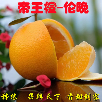 秭归脐橙新鲜水果帝王橙伦晚春橙