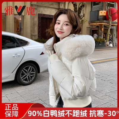 雅鹿短款白鸭绒保暖连帽羽绒服女