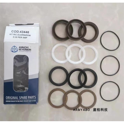 售后维修意大利AR水泵 XWP70.15 水封组件单向阀维修售后