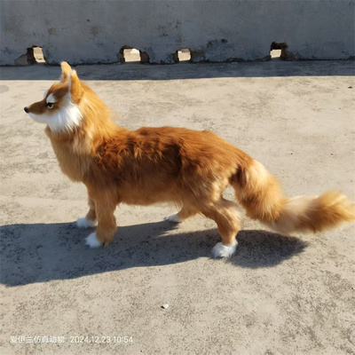 狐狸胡仙真身胡家摆件堂口供奉