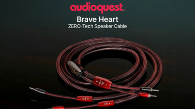 美国audioquest线圣 AQ BraveHeart勇者之心新款喇叭线 正品行货