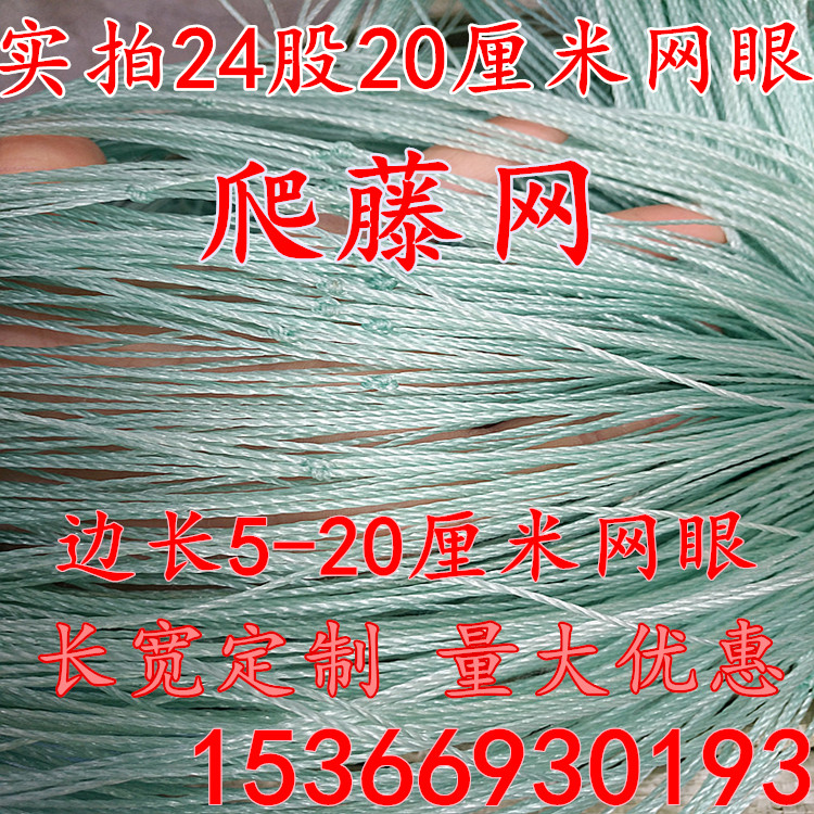 植物爬藤网 瓜果种植网 蔬菜攀爬网 养殖网 百香果专用爬藤网