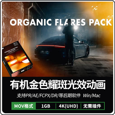 50个有机金色耀斑光效动画4K视频素材PR/AE/FCPX特效合成
