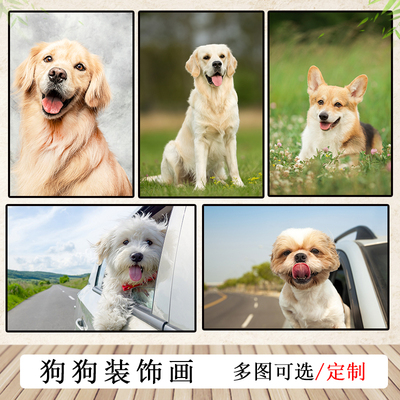 宠物店海报画金毛小狗狗动物生肖属相图片背胶防水横版装饰墙贴画
