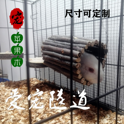 苹果木串制隧道躲避运动与险躲藏