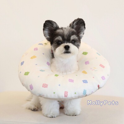 韩国Ritogato宠物纯棉伊丽莎白圈