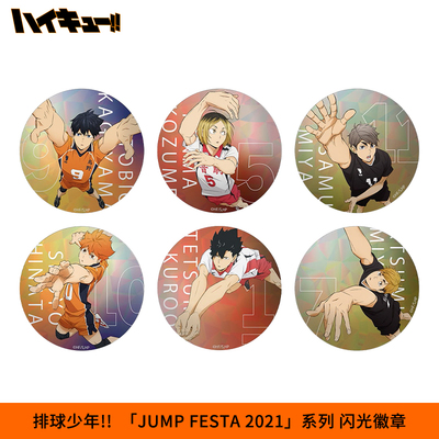 JF21现货绘柄闪吧唧排球少年周边