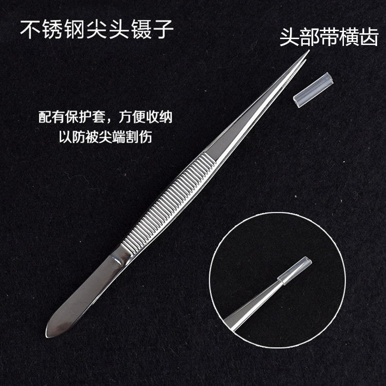 镊子 精细高精密高弹性防磁防酸不锈钢尖头有齿镊子