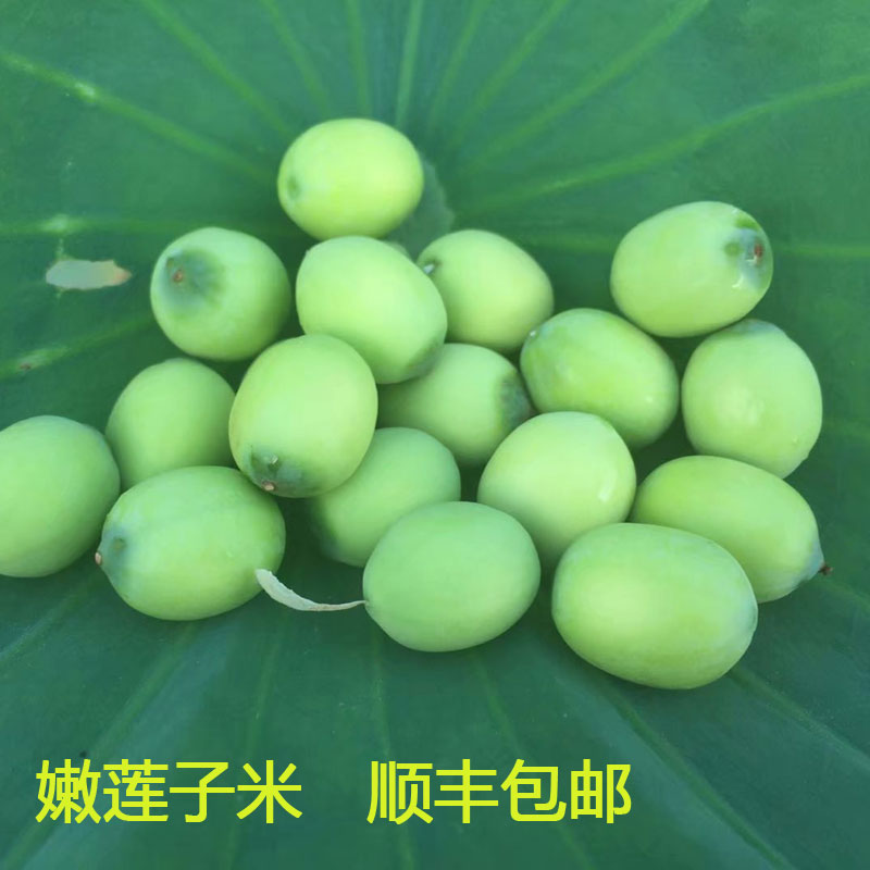 水果莲子新鲜莲子生吃不带蓬湘莲湖南嫩莲子2斤甜嫩莲蓬纯莲子米