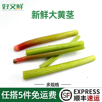 新鲜大黄茎沙拉酱果食材