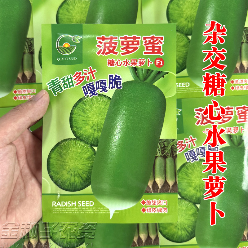 波萝蜜糖心水果萝卜种子F1秋季播种青甜多汁蔬菜种苗绿心水果萝卜