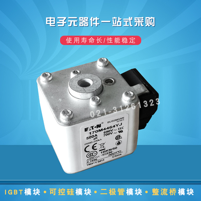 快速熔断器保险丝170M4494 4495 4496 4497 4508 4509 4510 4511