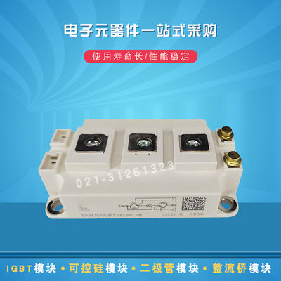 SKM300GB128DE SKM400GB128DE SKM100GB128DNIGBT模块全新