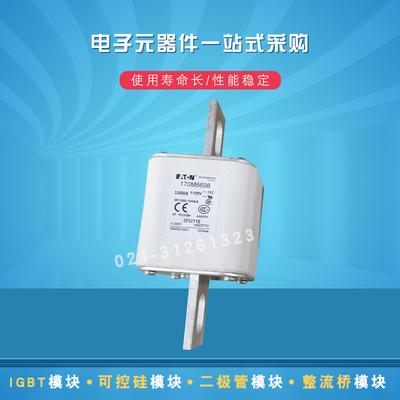 巴斯曼快速熔断器170M6694 6695 6696 6697 6698 6699 6700 6701