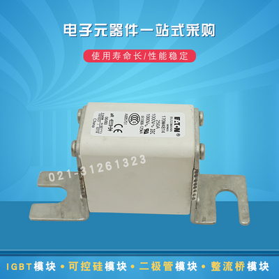 170M4864D 4865D 4866D 4867D 4921 4922 4923快速熔断器保险丝