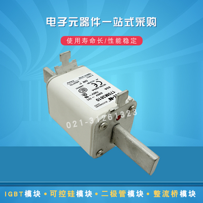 170M3810 3811 3812 3813 3814 3815 3816 3817巴斯曼熔断器现货