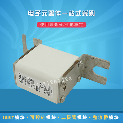 Bussmann熔断器保险丝170M2819 2820 2821 2866 2970 2972 2984