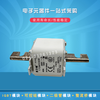 快速熔断器保险丝170M3308 3309 3310 3311 3312 3313 3314 3315