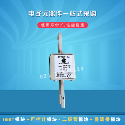 巴斯曼快速熔断器170M3161 3162 3163 3164 3165 3166 3167 3168