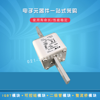 巴斯曼熔断器保险丝170M4660 4661 4662 4663 4664 4665 4666全新