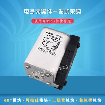 快速熔断器保险丝170M3957 3958 3959 3960 3961 3965 3966 3967
