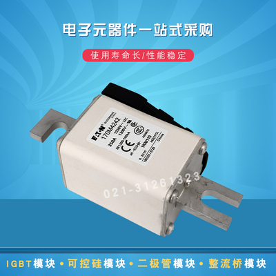 巴斯曼快速熔断器170M