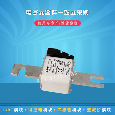 快速熔断器170M3269 3270 3271 3272 3273 3286 3289 3292 3293原