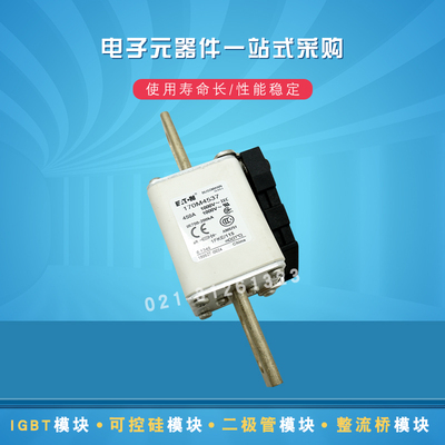 伊顿快速熔断器保险丝170M4539 4540 4558 4559 4560 4561 4562现