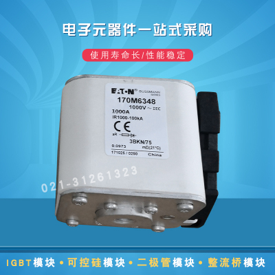 巴斯曼熔断器170M6348 6349 6358 6359 6360 6361 6362 6363 6364