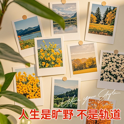 风景拍立得|当天发↑励志