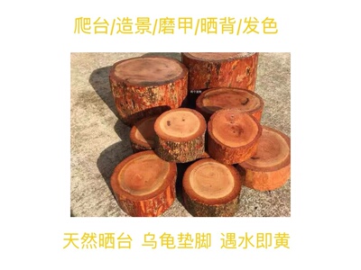 乌龟龙眼木晒台爬坡台投喂台躲避台防治腐皮腐甲白眼调节HP水质