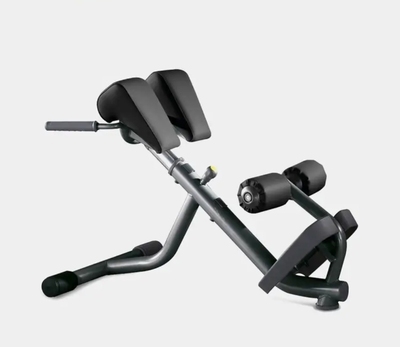 泰诺健Technogym多功能罗马椅可调背肌练习椅PA05 黑色原装进口