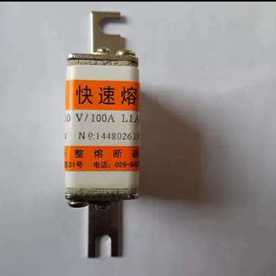 快速熔断器 RS4 500V 100A L1A10N BC50KA
