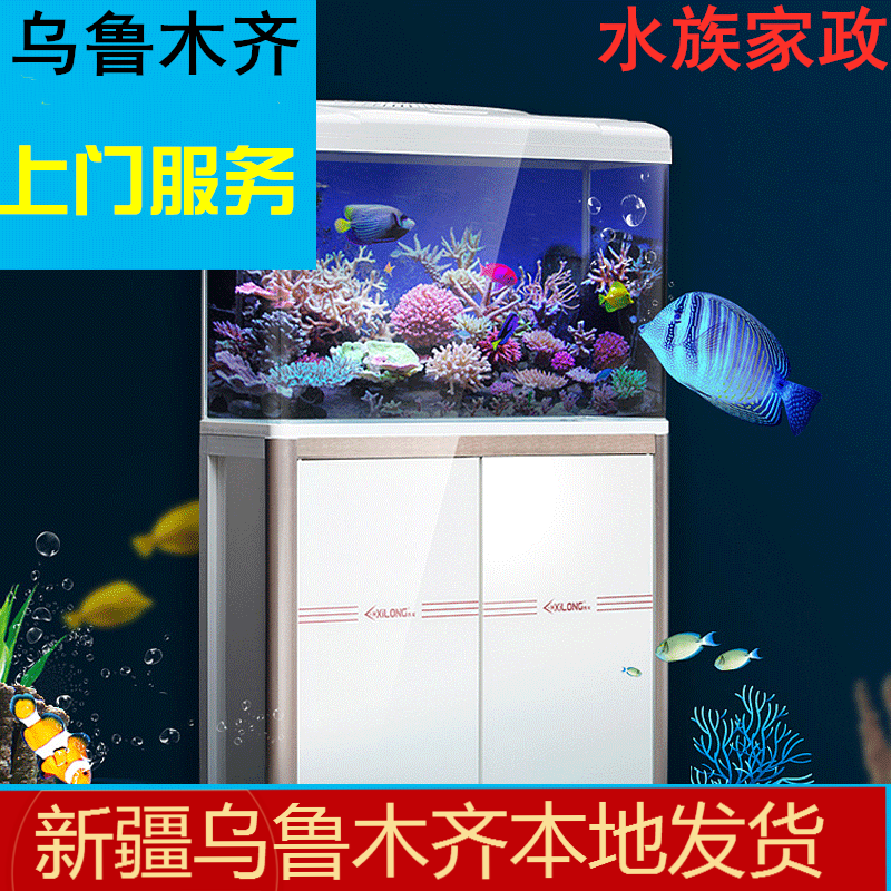 乌鲁木齐水族鱼缸上门服务定期清洗缸保底滤改装管理喂鱼维修养鱼