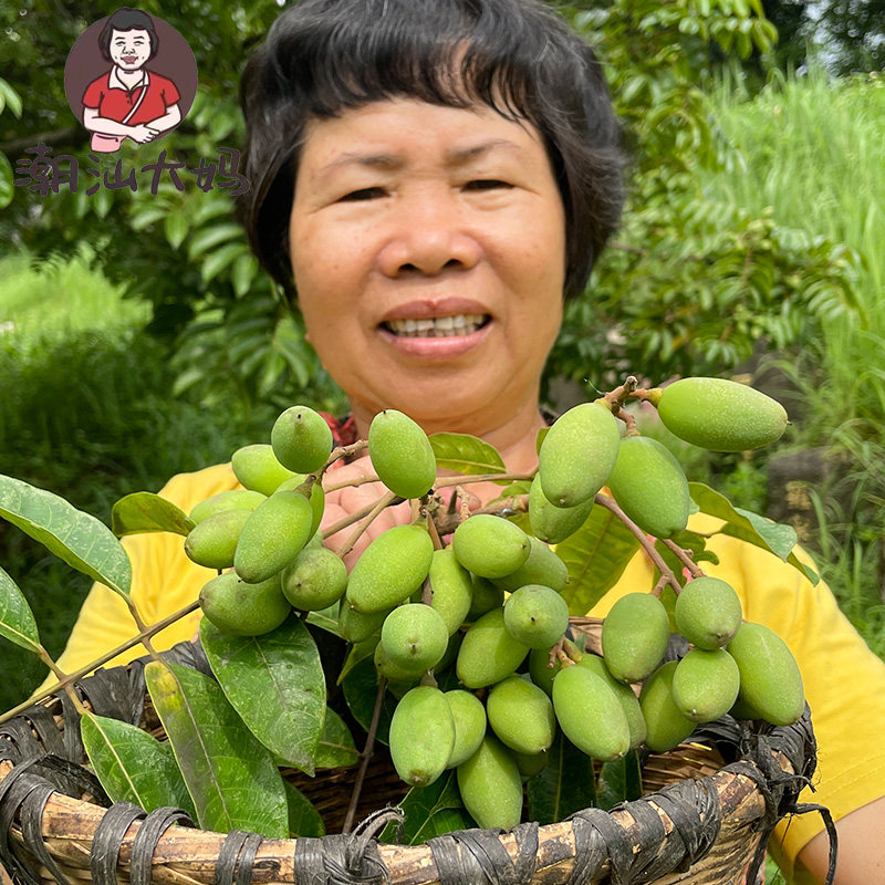 潮汕大妈 青橄榄煲汤橄榄回甘煲炖汤青果现摘现发孕妇水果煲汤