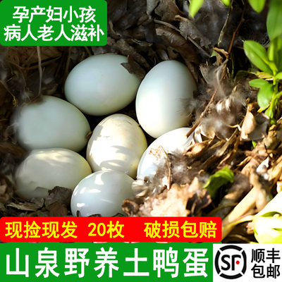 湖南土鸭蛋新鲜正宗散养土鲜鸭蛋农家散养鸭蛋每枚65克以上