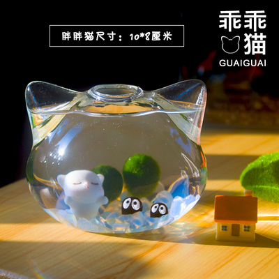 marimo幸福海藻球植物生态瓶