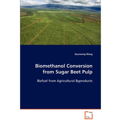 按需印刷不退不换Biomethanol Conversion from Sugar Beet Pulp[9783639091205]
