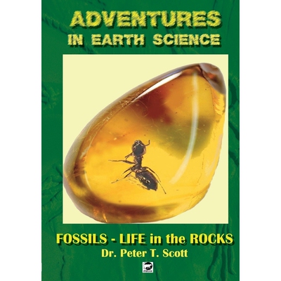 按需印刷不退不换Fossils- Life in the Rocks[9780994643247]